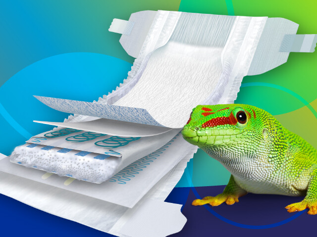 Adhesives and the 21st Century Absorbent Hygiene Product Core | Bostik Blog | Bostik US